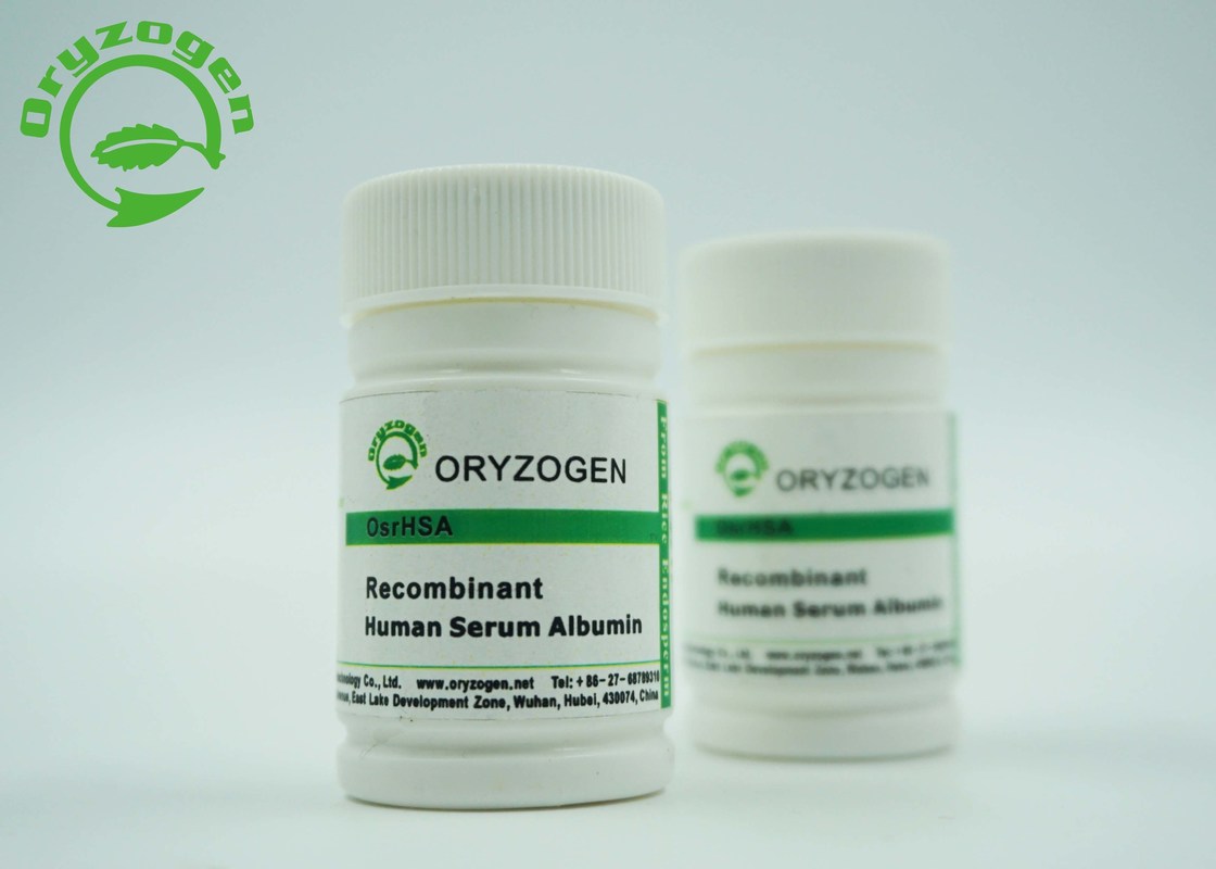 백신 연구 부형제를 위한 부형제 급료 동물성 자유로운 재조합형 인간 혈청 알부민 rHSA